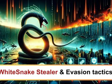 WhiteSnake Stealer Checks For Mutex & VM Function - Cybernoz ...